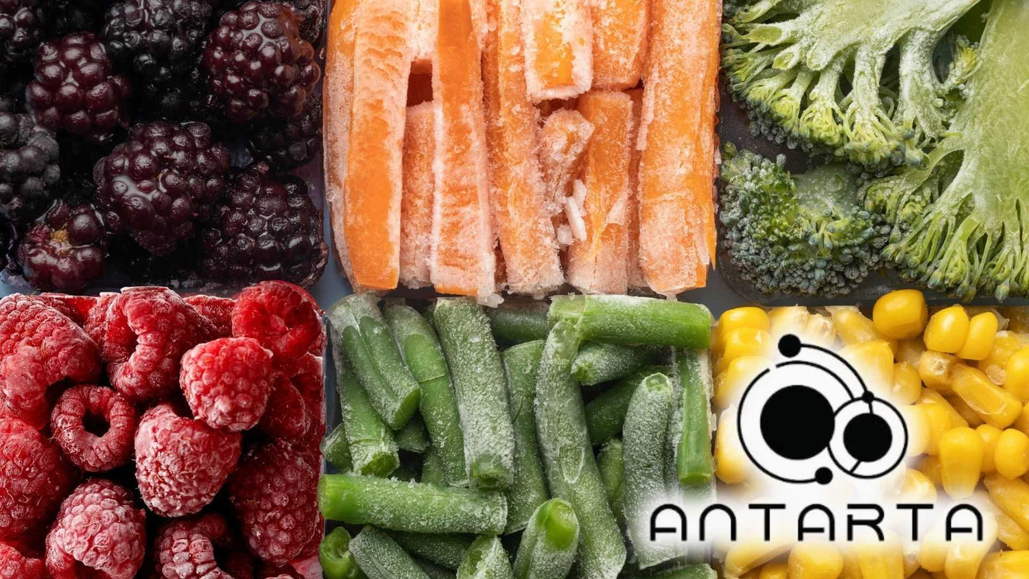 Are freeze-dried foods healthy? - Antarta